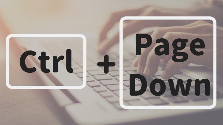 次のページの先頭に移動する【Ctrl+PageDown】